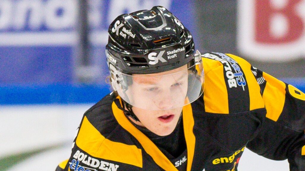 Linus Hedman klar för Tingsryd: "Vill framåt i sin karriär"