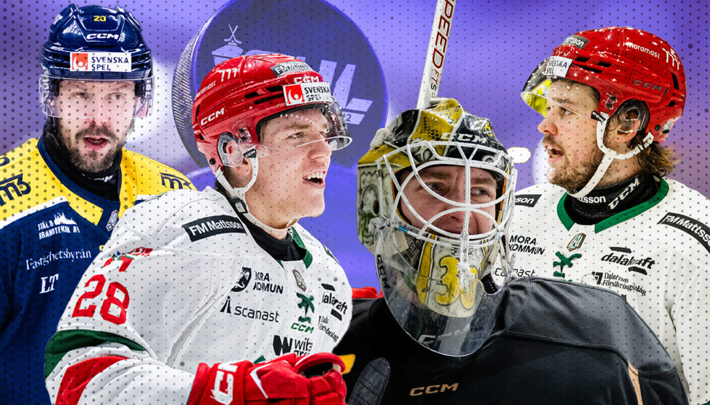 LISTA: De tio bästa värvningarna - från Hockeyallsvenskan till SHL