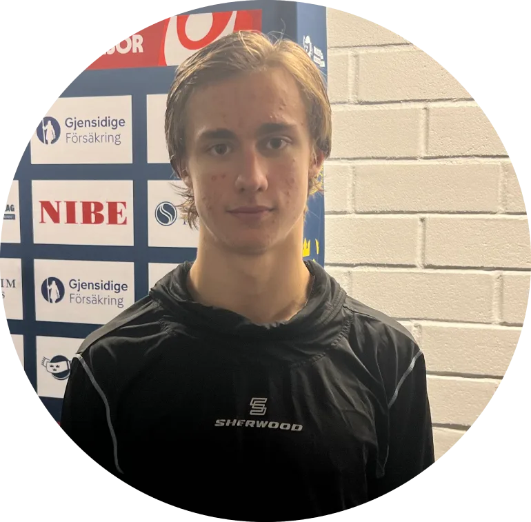 Malmö Redhawks – dagens nyheter, truppen, tabell och statistik